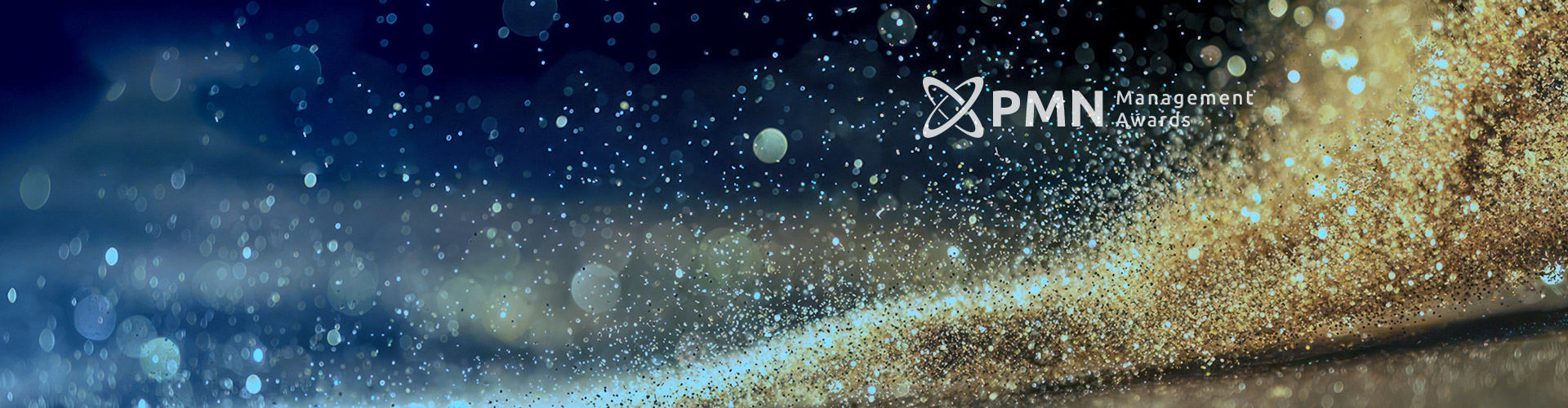 Die Fotos der PMN Award Gala 2025 - PMN - Professional Management Network